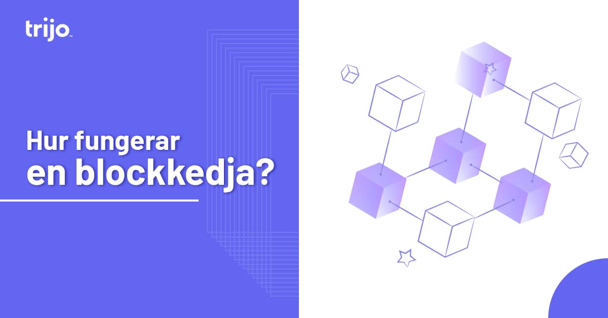 Staking | Vi förklarar vad det är och hur det fungerar | Trijo